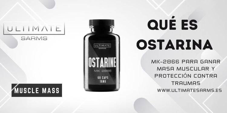 ¿Qué es el Ostarine MK2866? – Ultimate SARMS España
